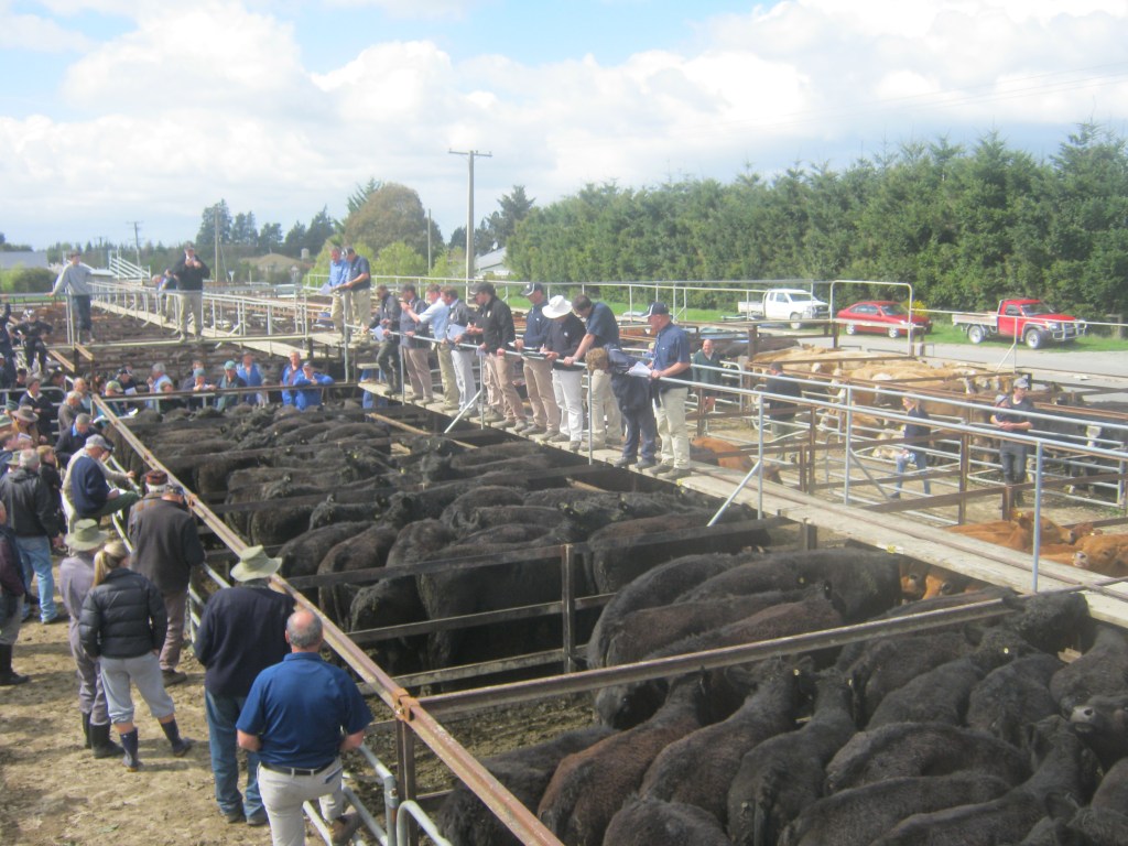 New Zealand Stock & Station Agents Association